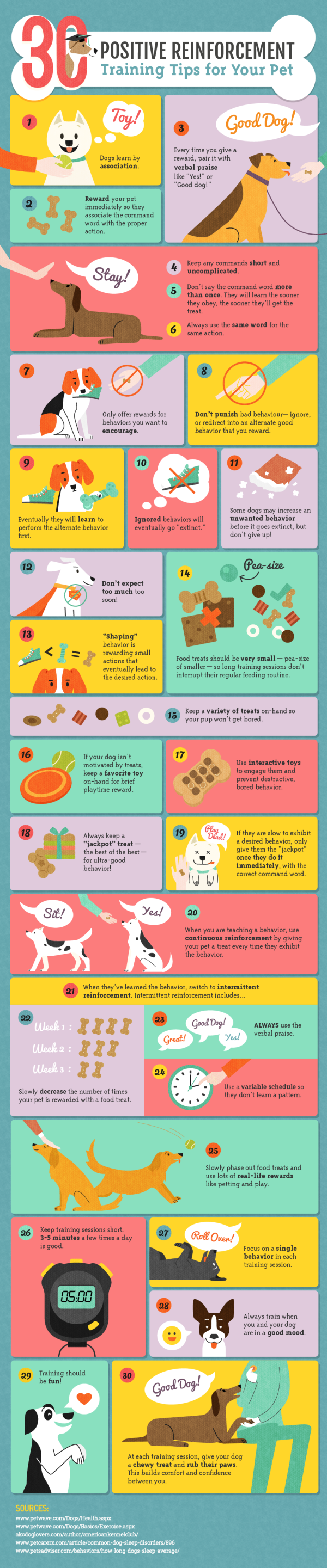 Positive Reinforcement Training Tips For Your Dog In Pictures Positive Reinforcement Training Tips For Your Dog In Pictures