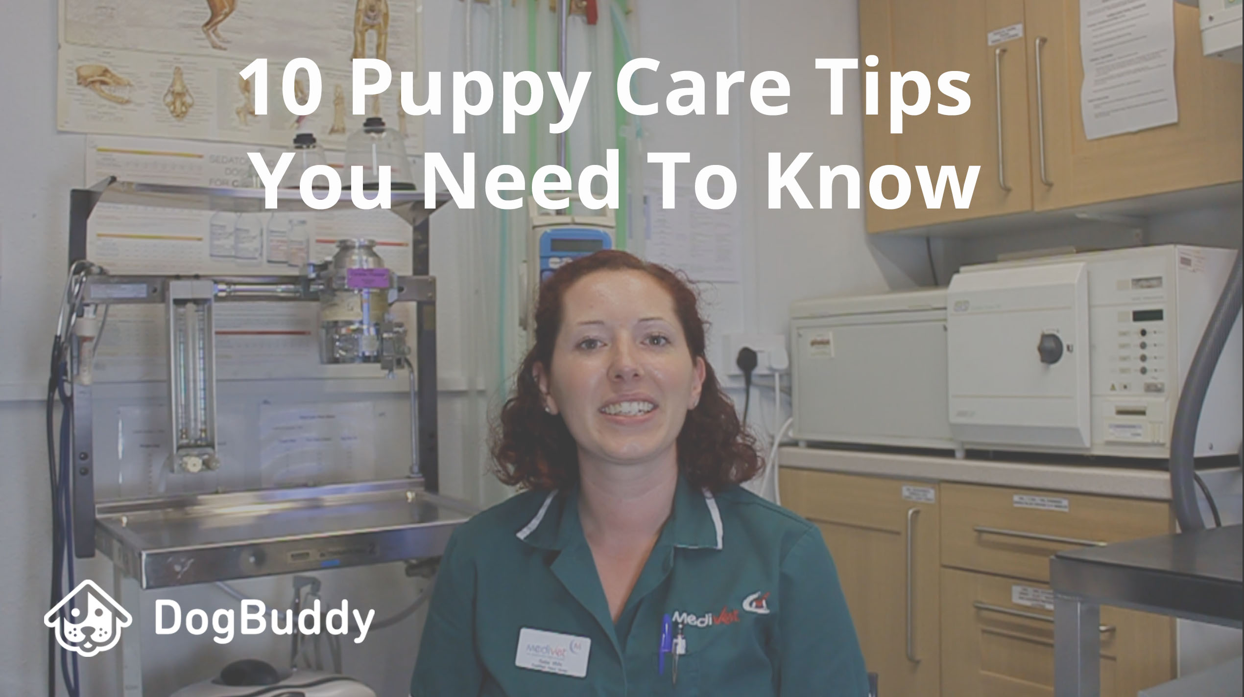VIDEO: Puppy Care Tips from a Head Veterinary Nurse - DogBuddy Blog