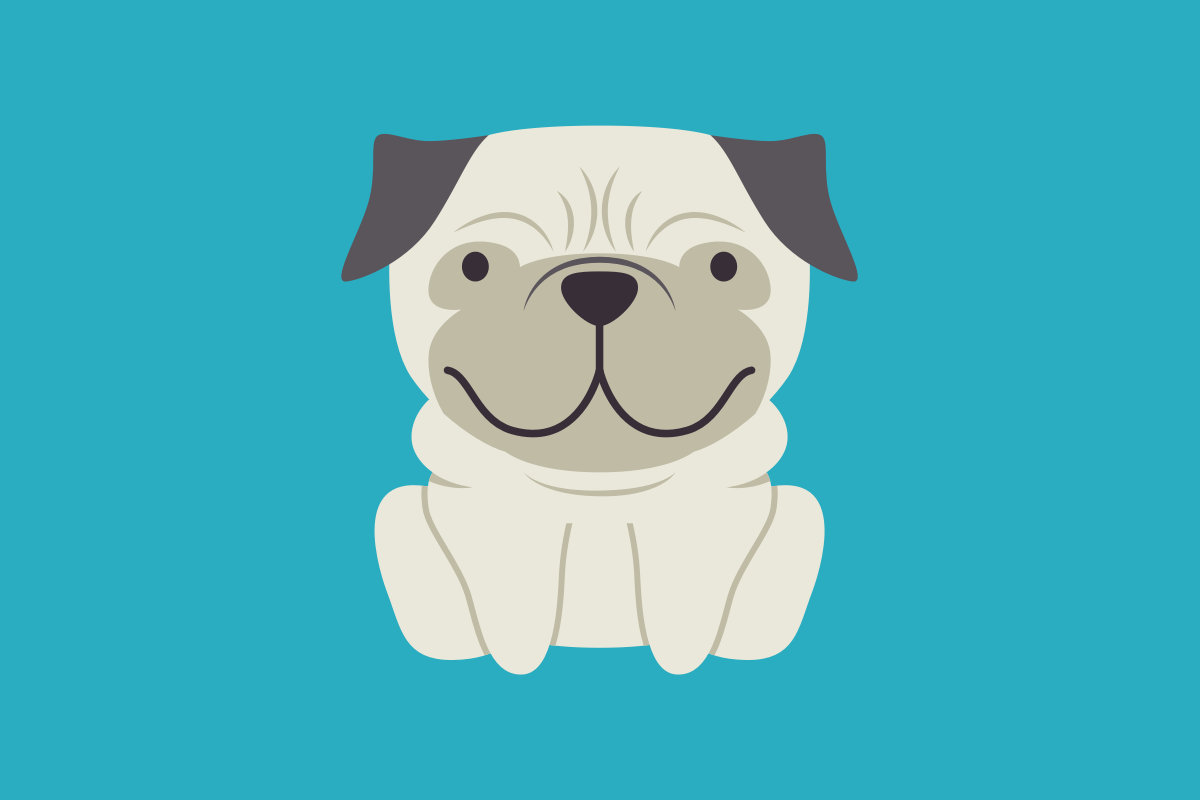 Get to know: the Pug Dog Breed, History, Health, Characteristics ...
