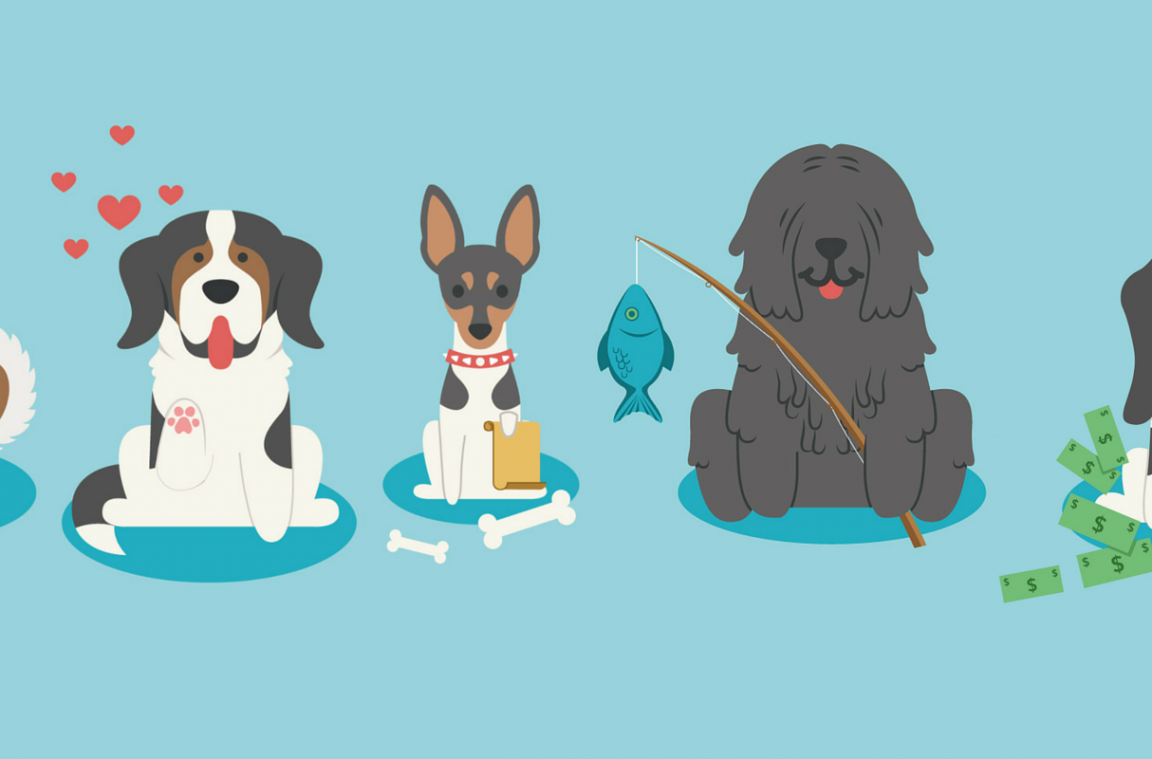 30 Insane Facts About Dogs - Infographic | DogBuddy Blog