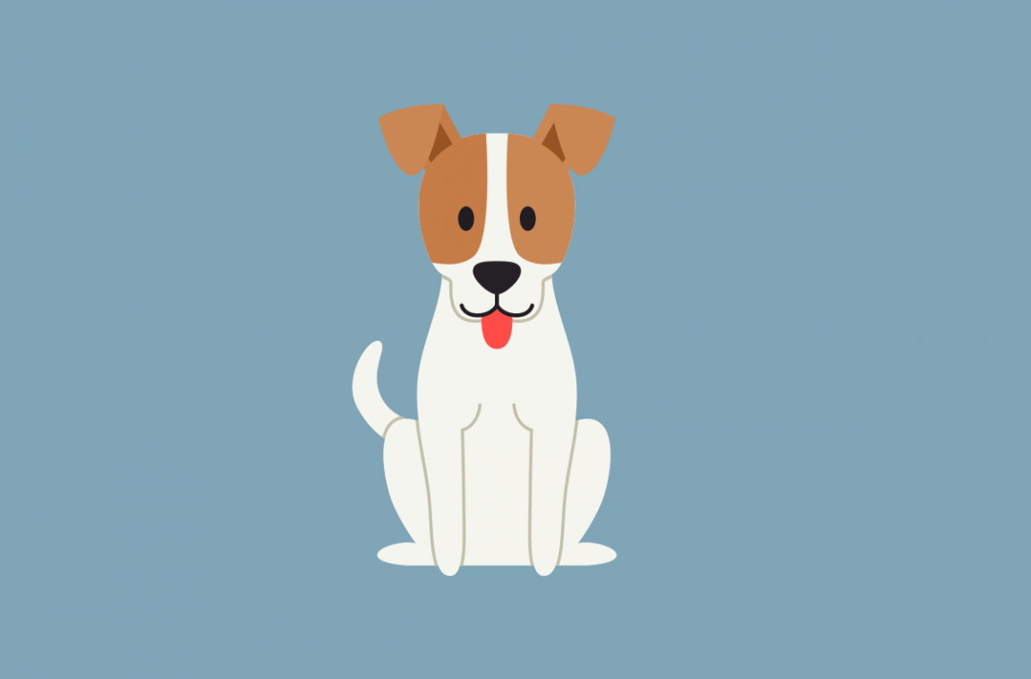 Get to know: the Jack Russell Terrier Dog Breed, History, Health ...
