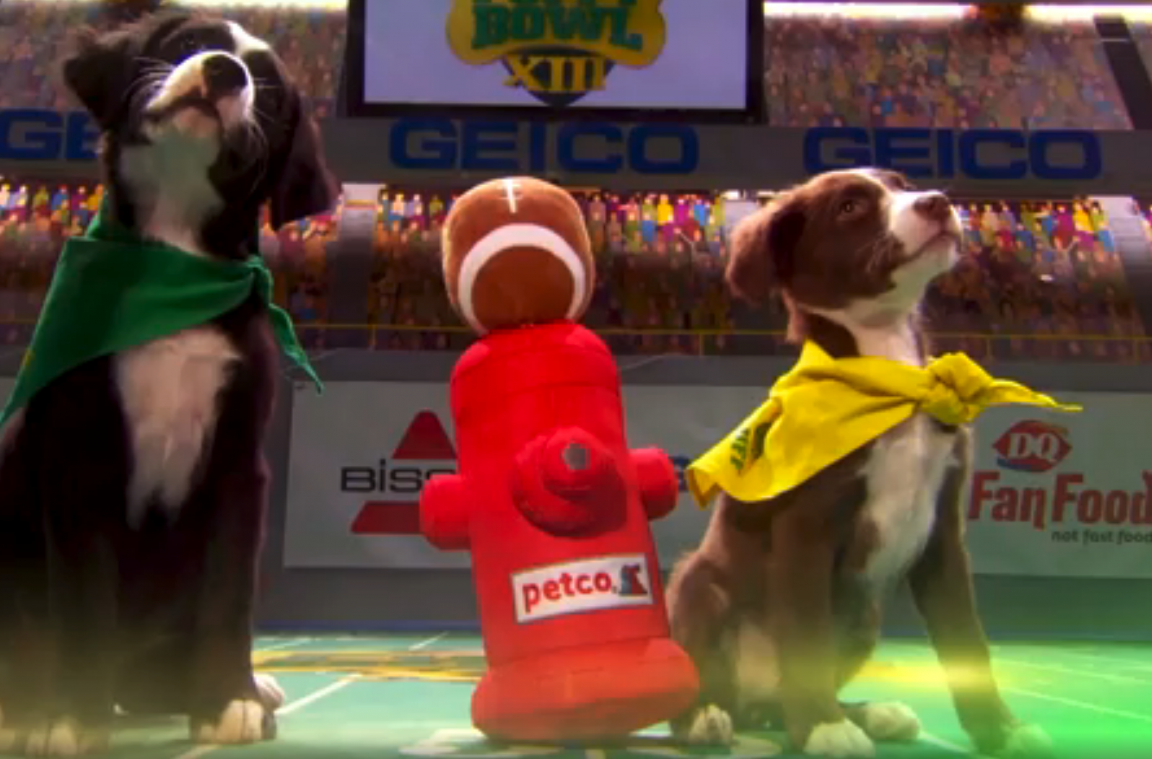 Meet The Star Players of 2017's Puppy Bowl - DogBuddy Blog