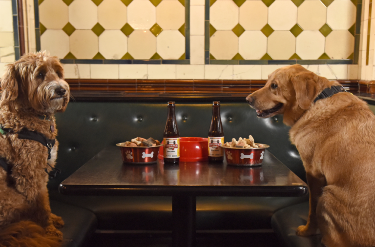 Dog Friendly Places Archive - DogBuddy Blog